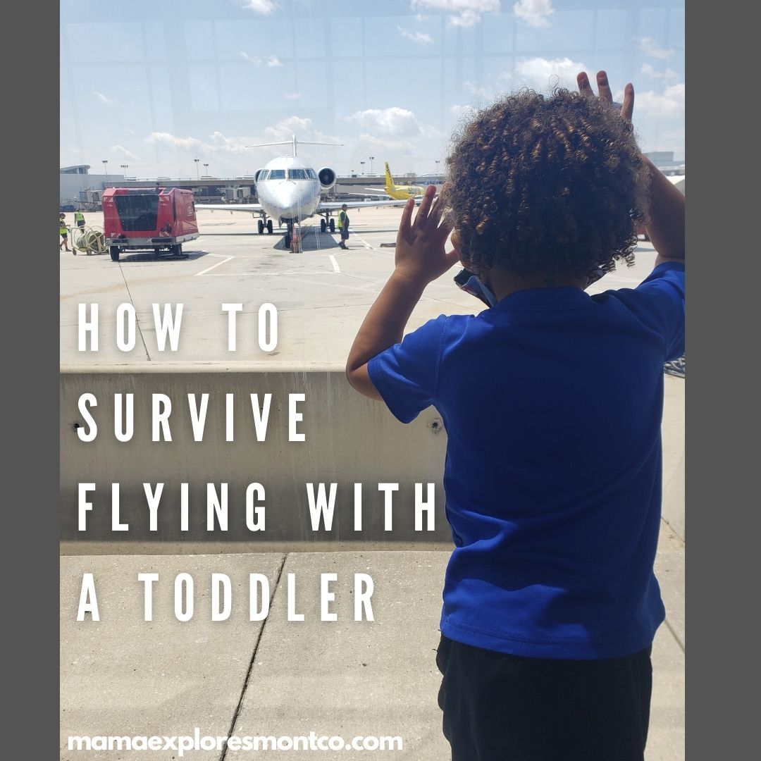 How to Survive Flying with a Toddler| Mama Travel Hacks | Mama Explores ...